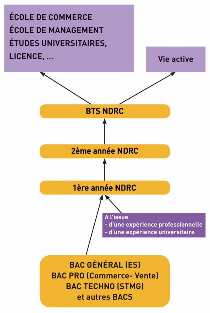 BTS NDRC – Ensemble scolaire Maurice Rondeau